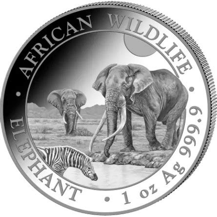 Somali Elephant 2026 Gilded Silver Coin 1 Oz