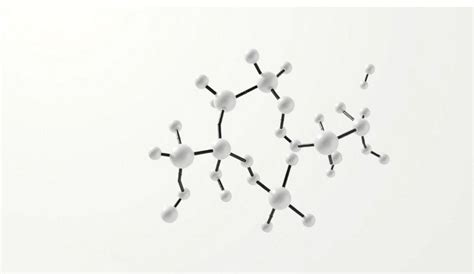 Understanding Natural And Synthetic Emulsifiers Key Differences And U