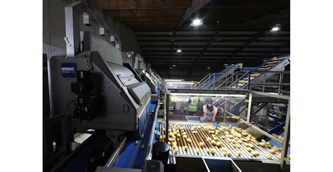 Key Technology Introduces Enhanced Optical Sorter For Whole Potatoes