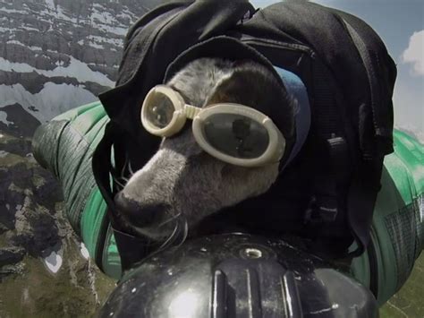 Five Of The Most Extreme Feats Of Dean Potter An American Daredevil