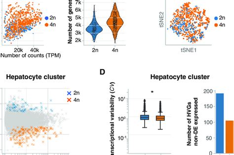Snrna Seq2 Reveals Differences In Gene Expression Between Diploid And Download Scientific
