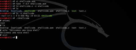 Shellcode Exploitando A Vulnerabilidade Do Buffer Overflow