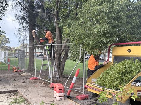 Tree Ninja Sa Tree Ninja Sa Added A New Photo