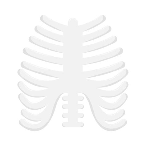 Illustration Of Bone Premium Vector