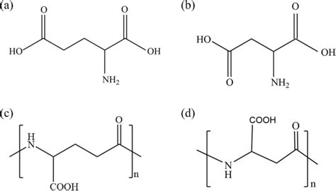 Structure Comparison Chart Of Glutamic Acid A And Aspartic Acid B Download Scientific
