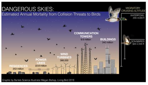 Lights Out To Protect Birds FFXnow