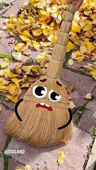 Goodland The Broom Is Resting E2 98 Ba Ef B8 8f 23goodland