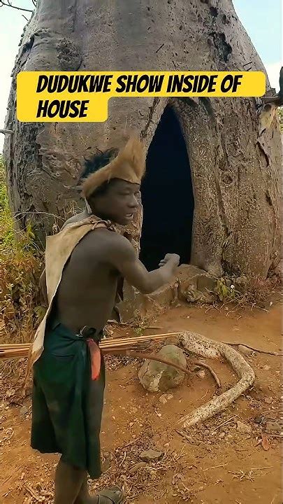 Dudukwe Hadzabe Tribe Showed Inside Of Tree House Africa Primitive