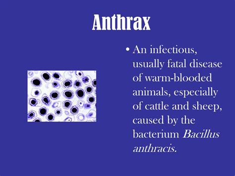 Ppt Anthrax Attacks Powerpoint Presentation Free Download Id3826642