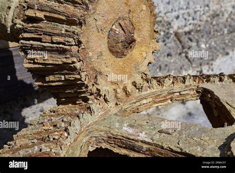 Old Rusty Cogwheels Stock Photo Alamy