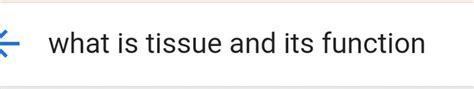 What Is Tissue And Its Function Filo