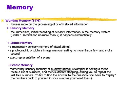 Memory Z Memory Y Persistence Of Learning Over