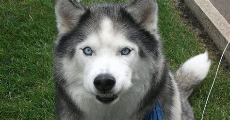 Cheese Imgur Cheese Imgur