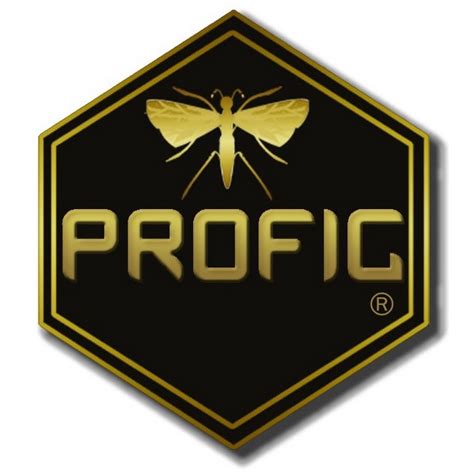 Profig Youtube