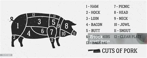 고기 다이어그램 돼지고기의 상처 돼지 실루엣 흰색 배경에 고립입니다 그런 지 텍스처와 정육점 쇼핑을 위한 빈티지 포스터입니다