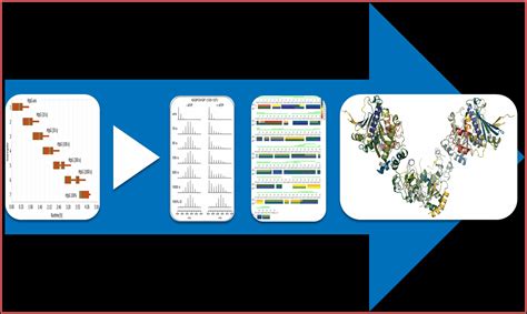 Hdx Epitope Mapping Service Map Resume Examples 4x2vnjn25l