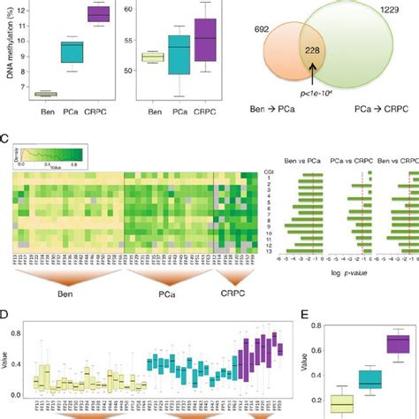 Dna Methylation Patterns In Benign Prostate Tissues Are Associated With Download Scientific