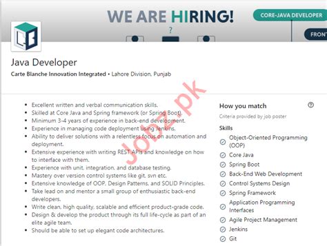 JAVA Developer Front End Developer Jobs In Lahore Division 2024 Job Advertisement Pakistan