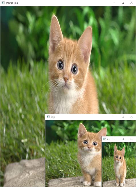 Opencv Python 이미지 크기조절resize 하는 법