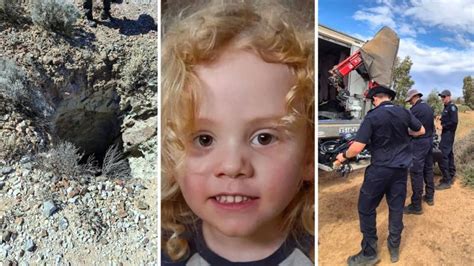 Sad Update After Latest Search For Missing Gus