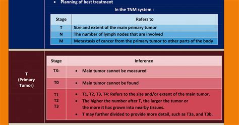 Medical Notes For Students Prostate Cancer Tnm System Of Staging