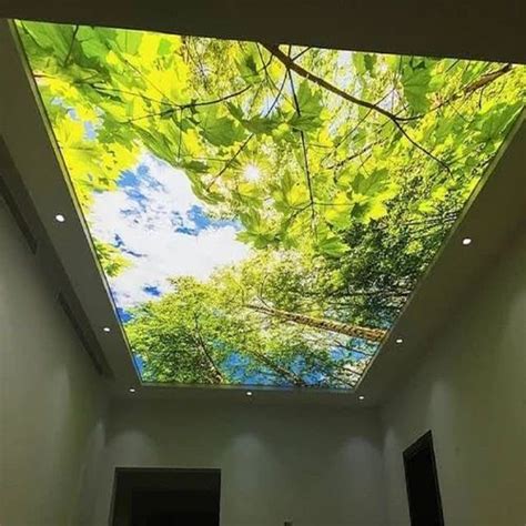 Printed Stretch Ceiling Service At ₹ 170sq Ft Stretch Ceiling