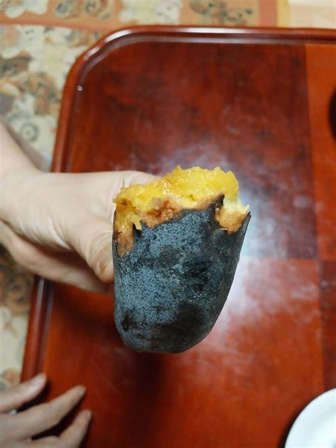 포포열매 푸드 캐시피드