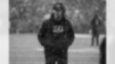 Photos Bengals 2023 Coaches