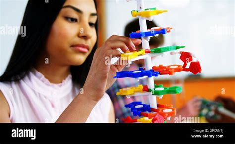 Schoolgirl Experimenting Molecule Model In Laboratory At School Stock Video Footage Alamy