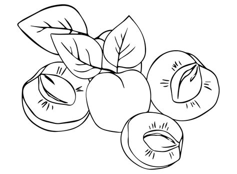 Omalovánky K Vytisknutí Slunečnice Omalovanekcz Omalovánky K Vytisknutí Slunečnice Omalovanekcz