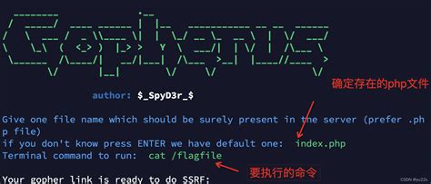 ctfshow 常用姿势篇（801 810） ctfshow web801 csdn博客
