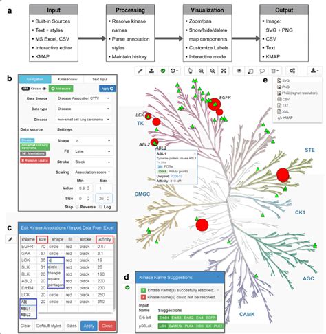 The Kinmap Web Interface A Summary Of The Key Features B Navigation Download Scientific