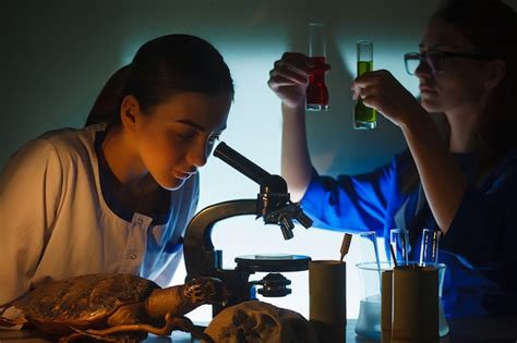 Premium Photo Two Beautiful Babegirls Doing Experiment Together In The Laboratory