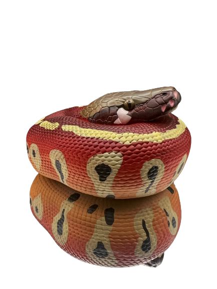 Python Brongersmai Herping Es