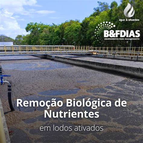 Suziana Mannrich Posted On Linkedin