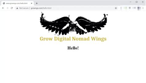 DirectAdmin User And Website Creation