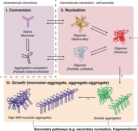 Understanding Monoclonal Antibody Stability And Strategies To Combat