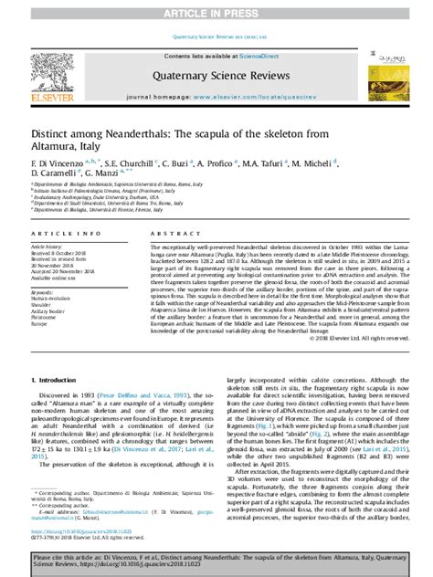 Pdf Distinct Among Neanderthals The Scapula Of The Skeleton From