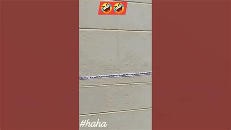 Longest Free Wifi Password Lol Youtube