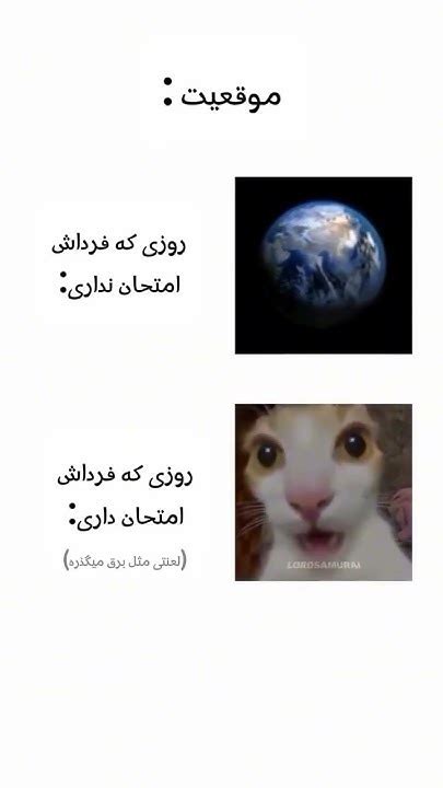 میم Mim خنده میمفارسی میمخندهدار Memes Funny ترند کومان