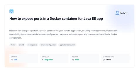 How To Expose Ports In A Docker Container For Java Ee App Labex