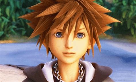 Kingdom Hearts S