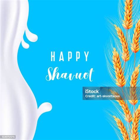 해피 샤부오트 우유 밀 벡터 그림입니다 떨어지는 우유 벡터 현실적인 고립 인사말 카드 Shavuot 유대인 휴일과 장식 및 덮개