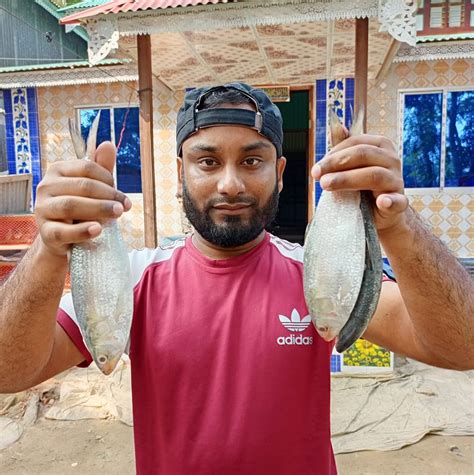 মাছ ধরার কৌশল Reel Reels Viralreels Fishing Fish Viral Reelvideo