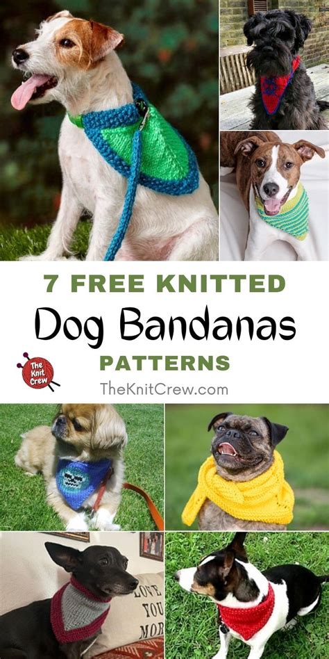 7 Free Knitted Dog Bandana Patterns The Knit Crew