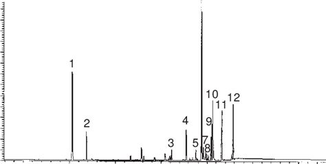 Solid Phase Microextraction Gas Chromatography Measurement Of Volatile Download Scientific