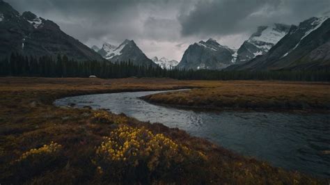 Elogomart I Will Create Marval Character Chibi Style Digital Illustration For 5 On