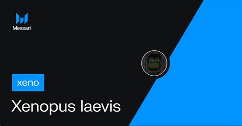 Xenopus Laevis Market Data And Trends Messari