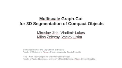 Multiscale Graph Cut For 3d Segmentation Of Compact Objects By Miroslav