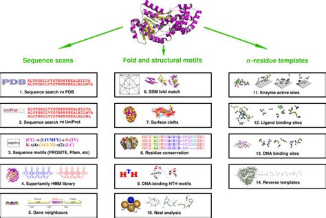 schematic diagram showing the different methods both sequence and